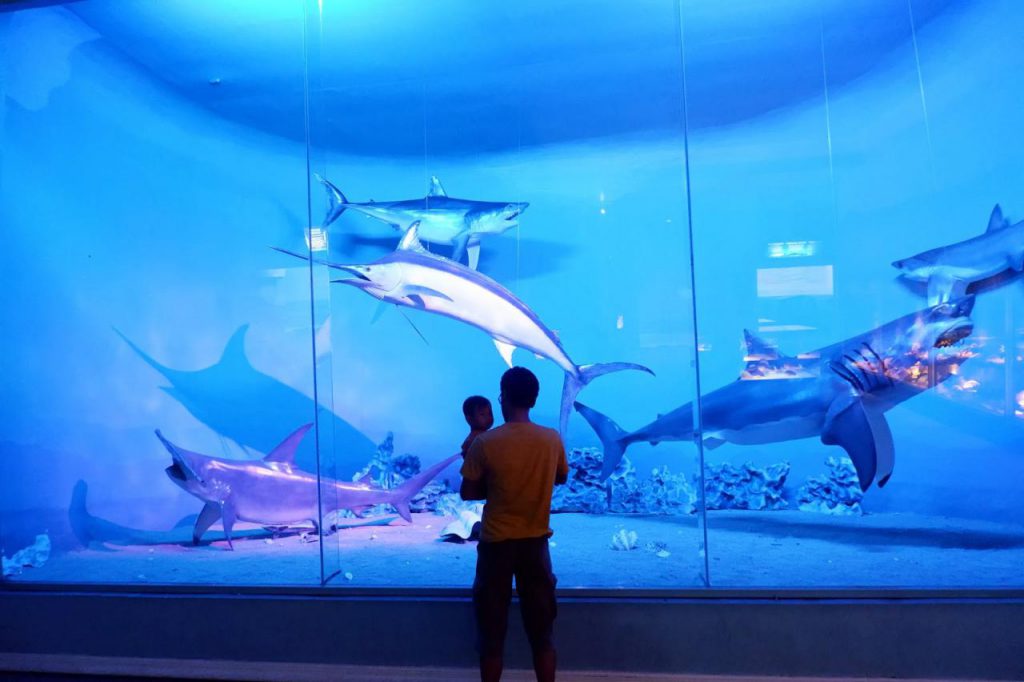 Terpesona di Museum Satwa Jatim Park 2 - Putrinyanormal.com